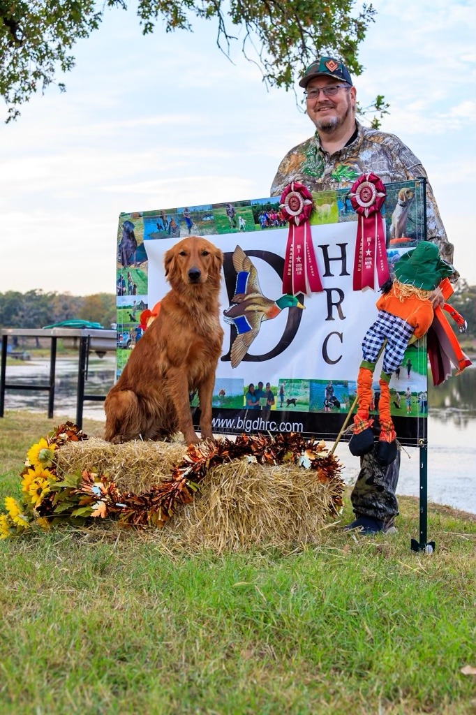 Duck Hunting Golden Retrievers in Texas